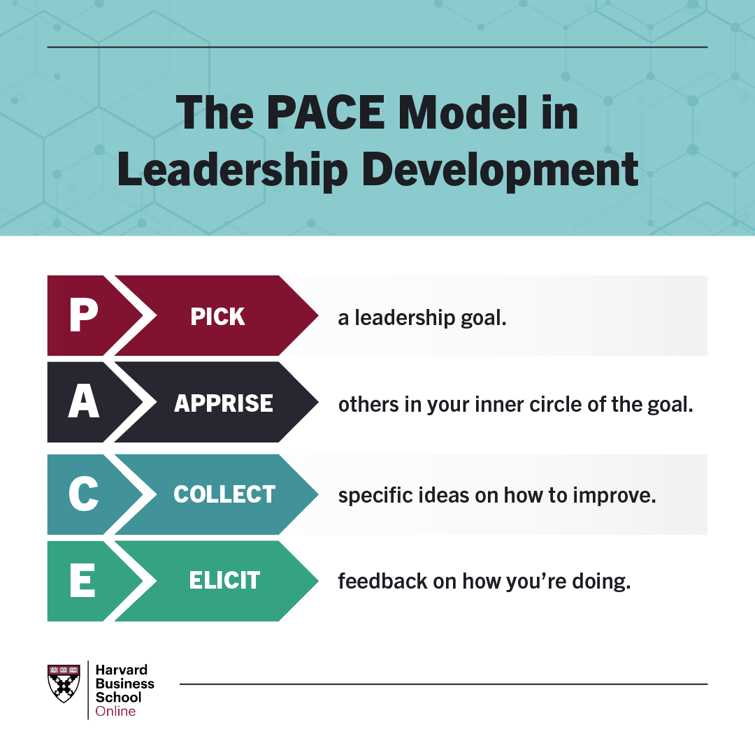 5 Steps to Creating a Successful Leadership Development Plan