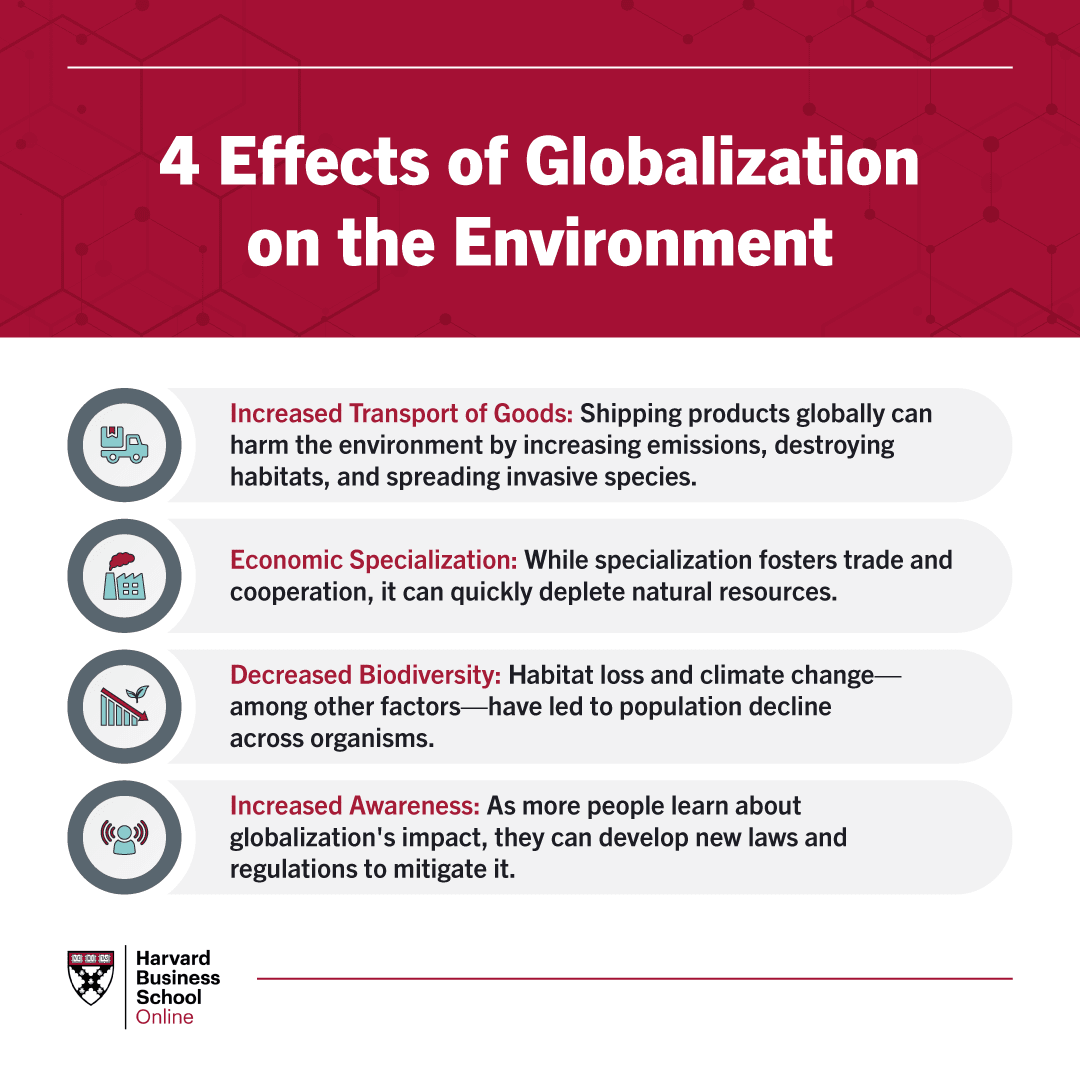 Effects of Globalization on the Environment
