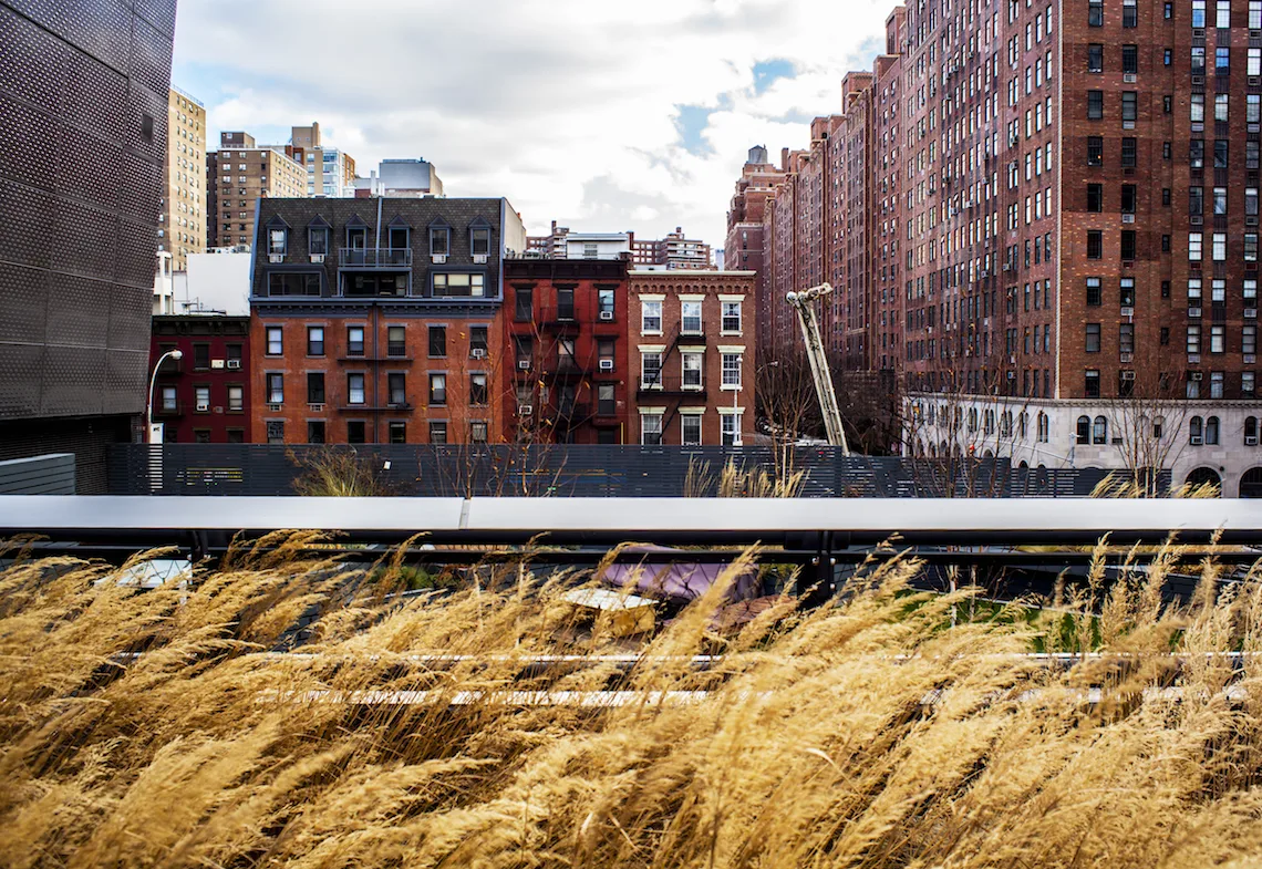 How to Know If Your Neighborhood Is Being Gentrified | Working Knowledge