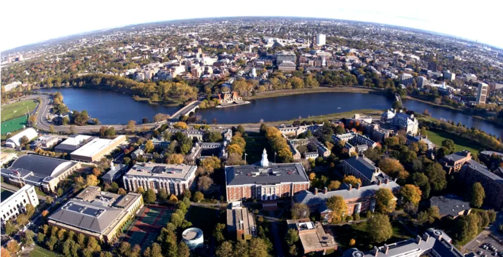 Welcome to Harvard’s BiGS Fix: Actionable intelligence to drive the ...