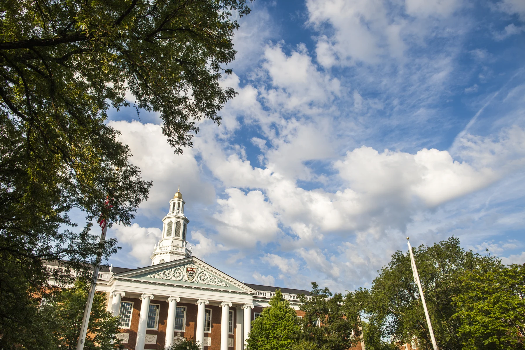 Year in Review | Annual Report 2024