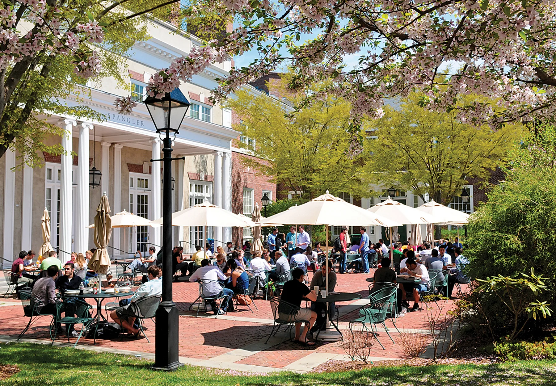 Harvard Business School Campus Area