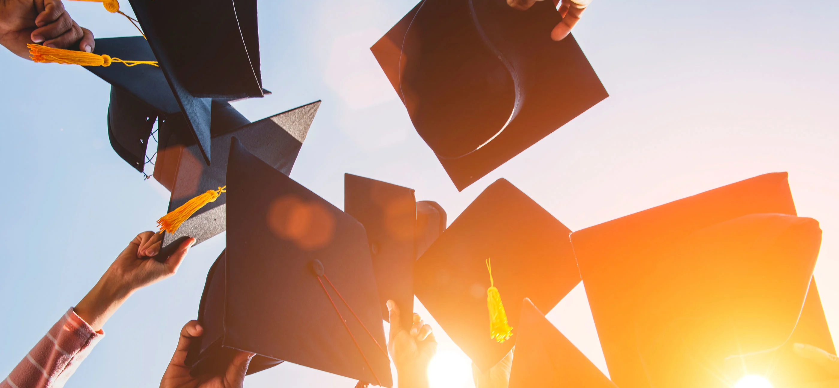 Launching a Career in the COVID Economy? Here Are 5 Tips. | Working ...