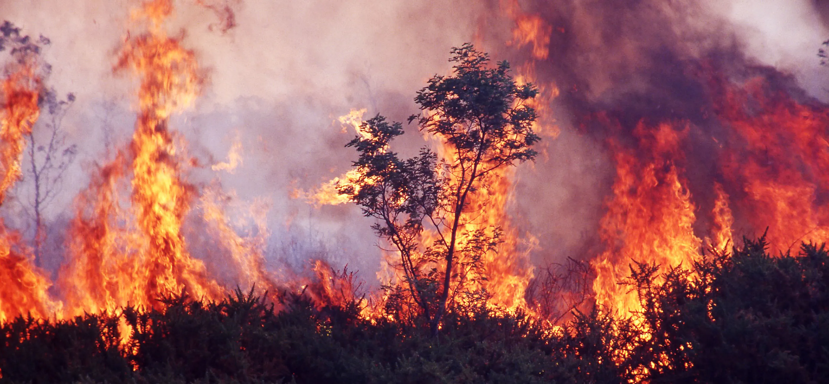 What's the Role of Business in Confronting Climate Change? | Working ...