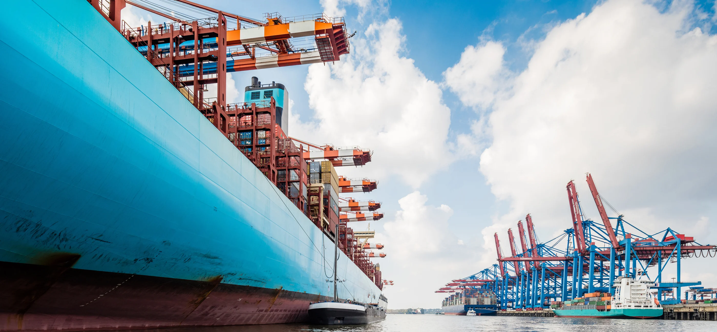 Free Trade Needs Nurturing—and Other Lessons from History | Working ...