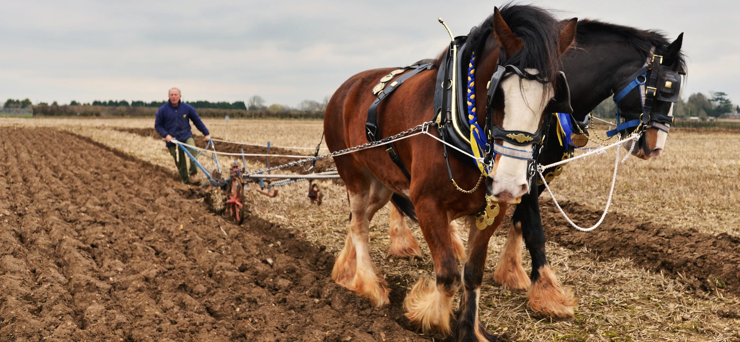 From the Plow to the Pill: How Technology Shapes Our Lives | Working ...
