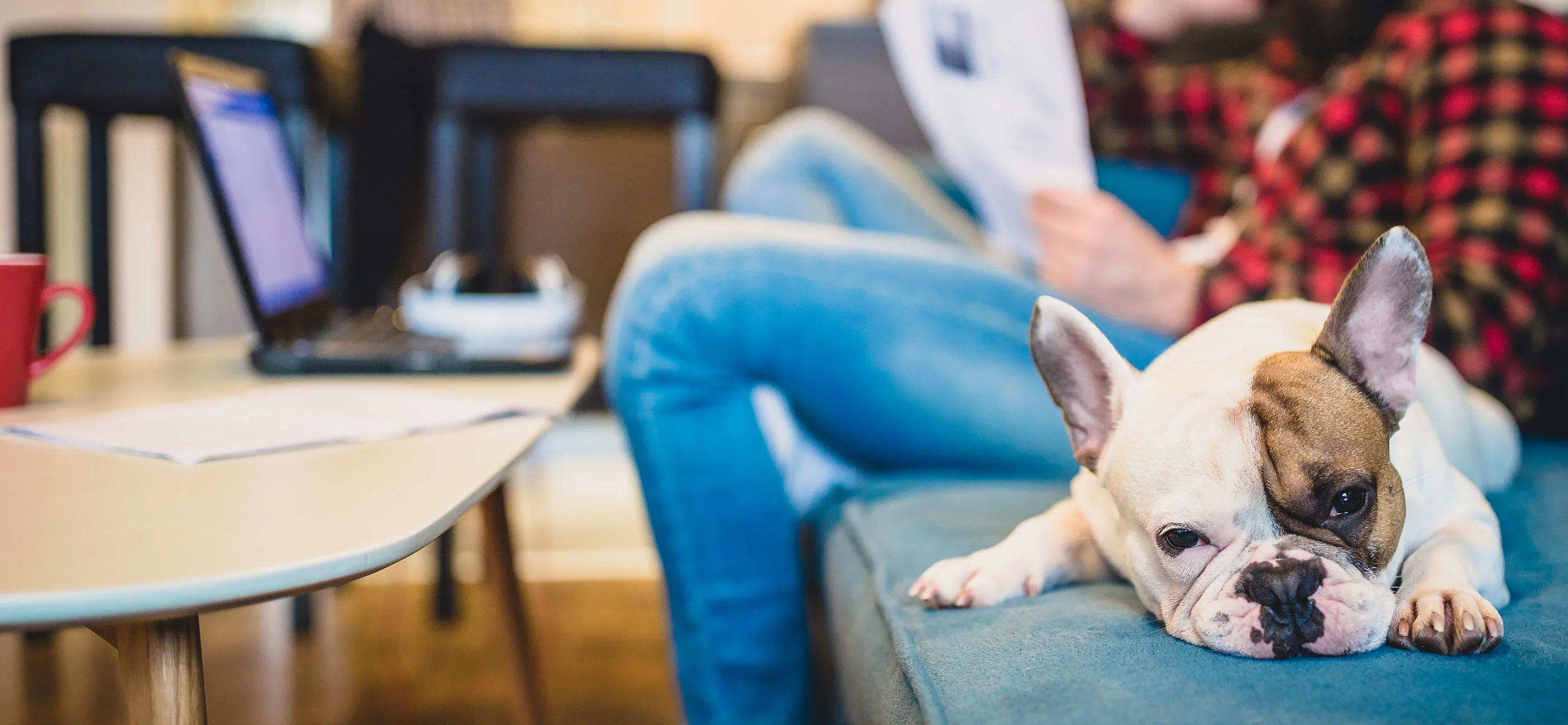 How Companies Benefit When Employees Work Remotely | Working Knowledge