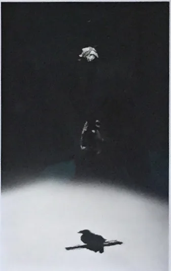 Mac Adams Dove 1996 | About