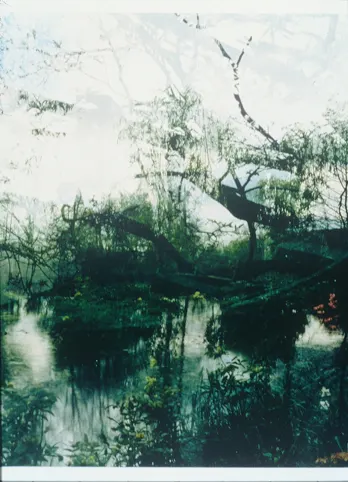 Sally Apfelbaum Homage to Monet 1989 | About