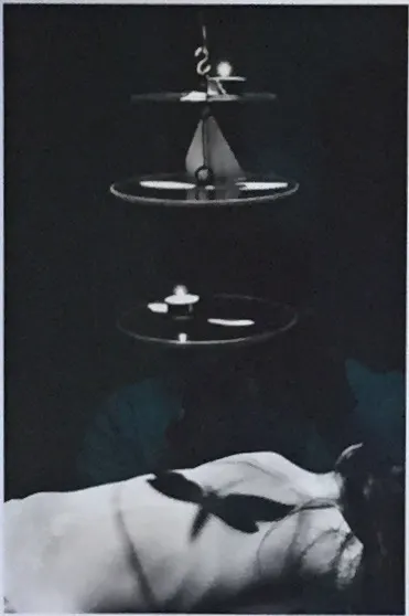 Mac Adams Shadow Moth 1997 | About