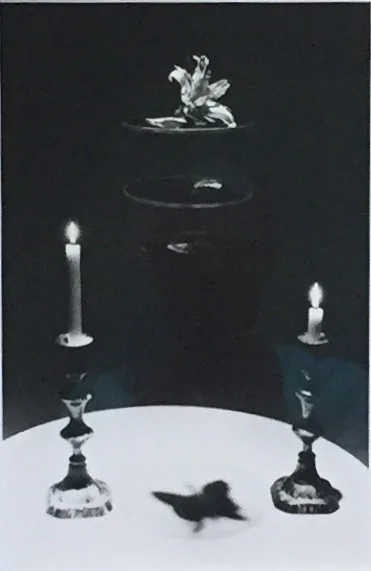 Mac Adams Lunar Moth 1997 | About