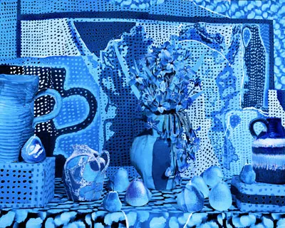 Daniel Gordon Blue Iris 2014 | About