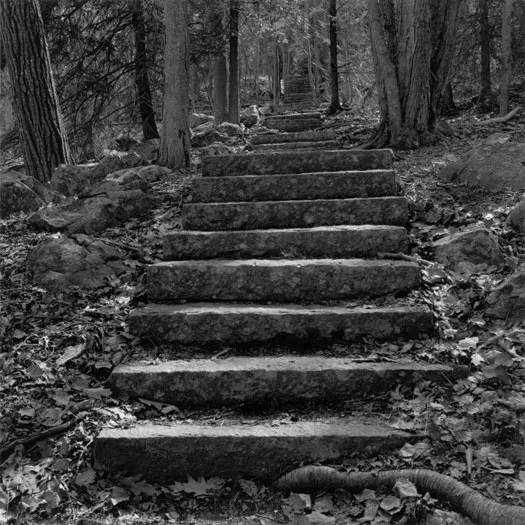 Michael Alpert Bar Harbor Steps 1999 | About