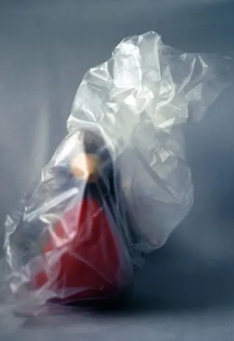 Meredith Allen B.B. #7 (Red Robin) 2004 | About