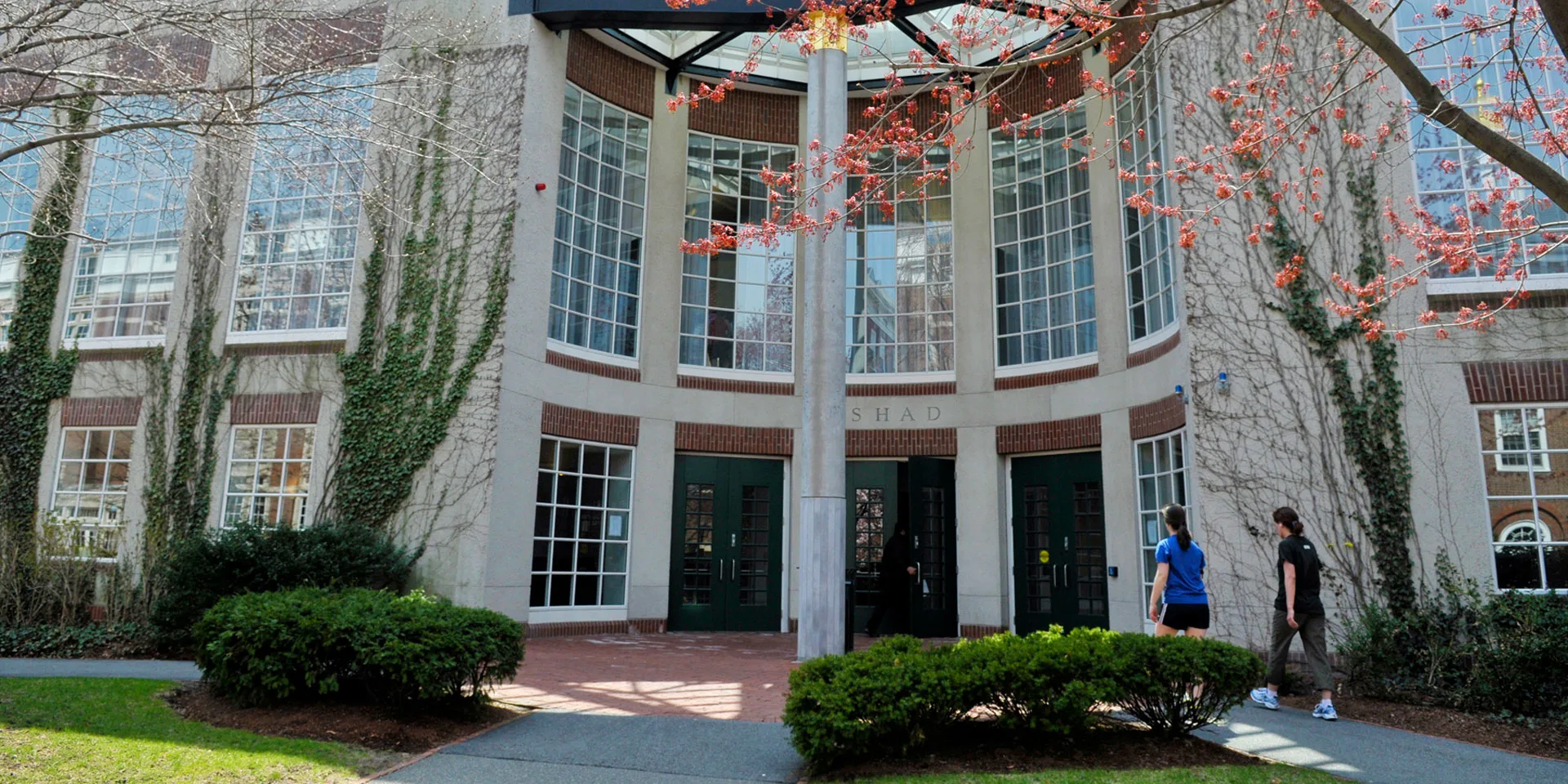 Inside the Learning: Wellness on Campus | Executive Education