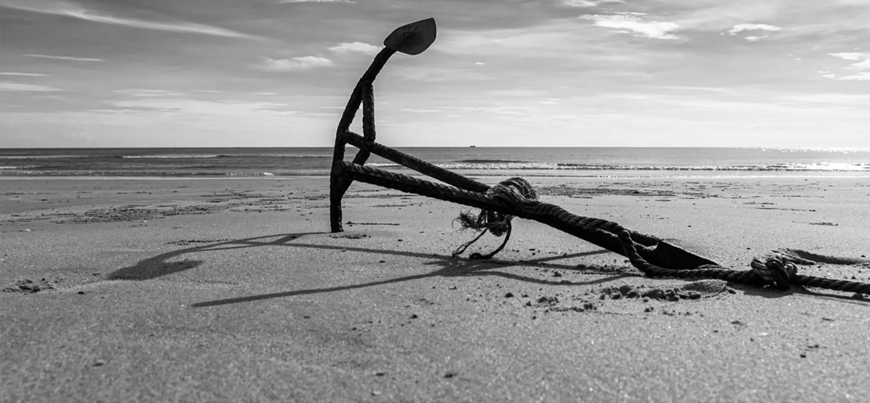 How Anchor Investors Help Impact Funds Succeed | Working Knowledge