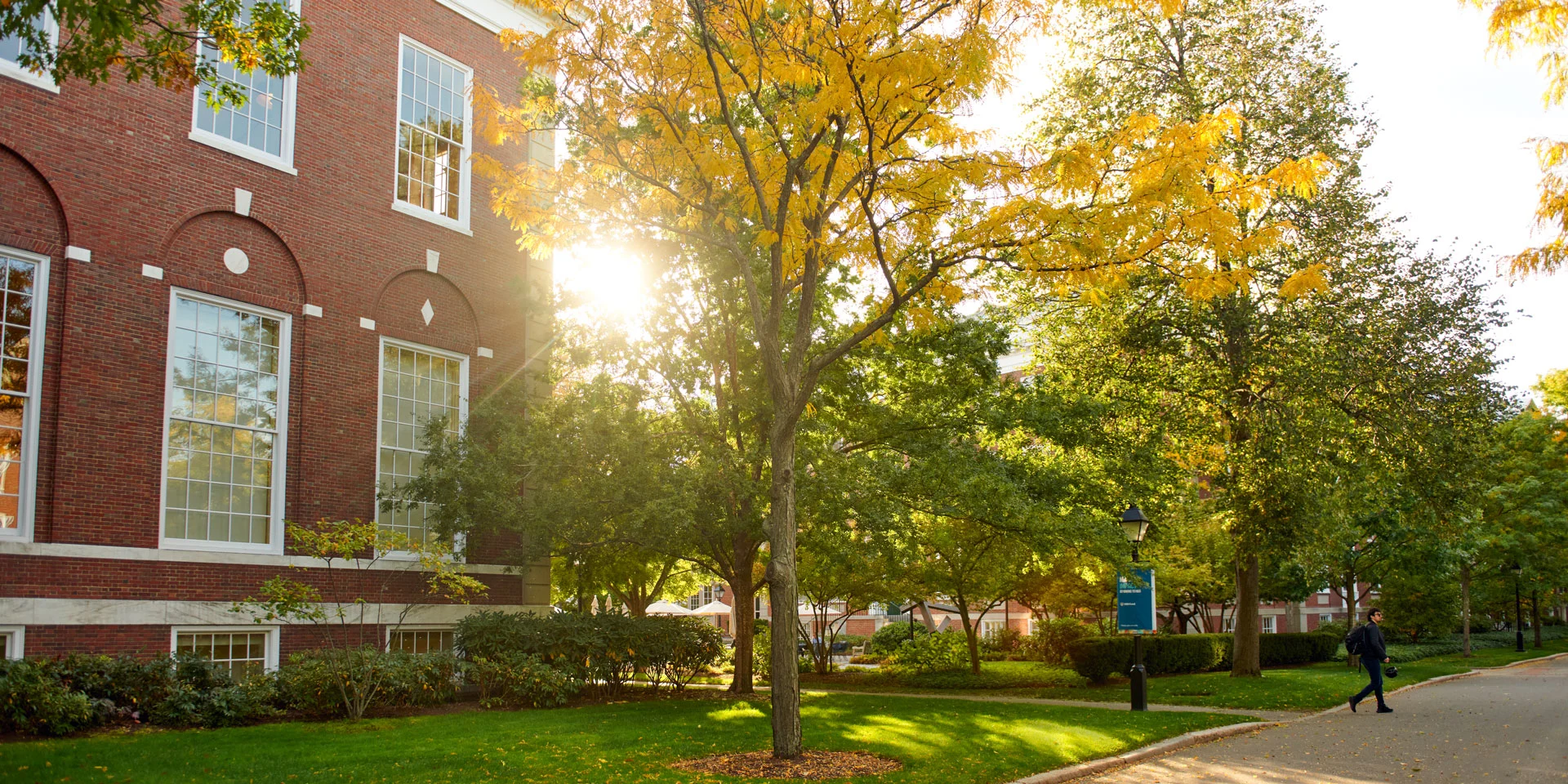 Inside the Learning: Sustainability—on Campus and Beyond | Executive ...