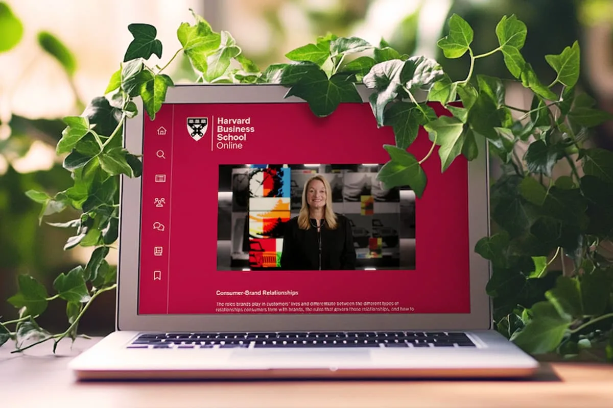 How Affordable Online Courses Can Deliver Lasting Results