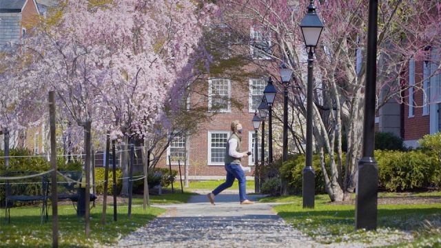 Campus Blooms in Spring - News - Harvard Business School