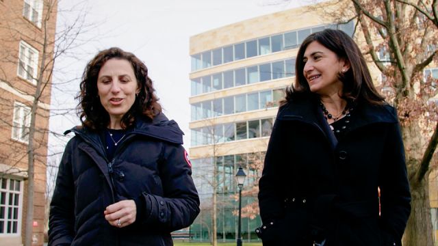 Professors Francesca Gino and Raffaella Sadun: Perspectives - News - Harvard Business School