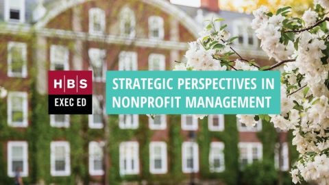 Strategic Perspectives in Nonprofit Management - Social Enterprise ...